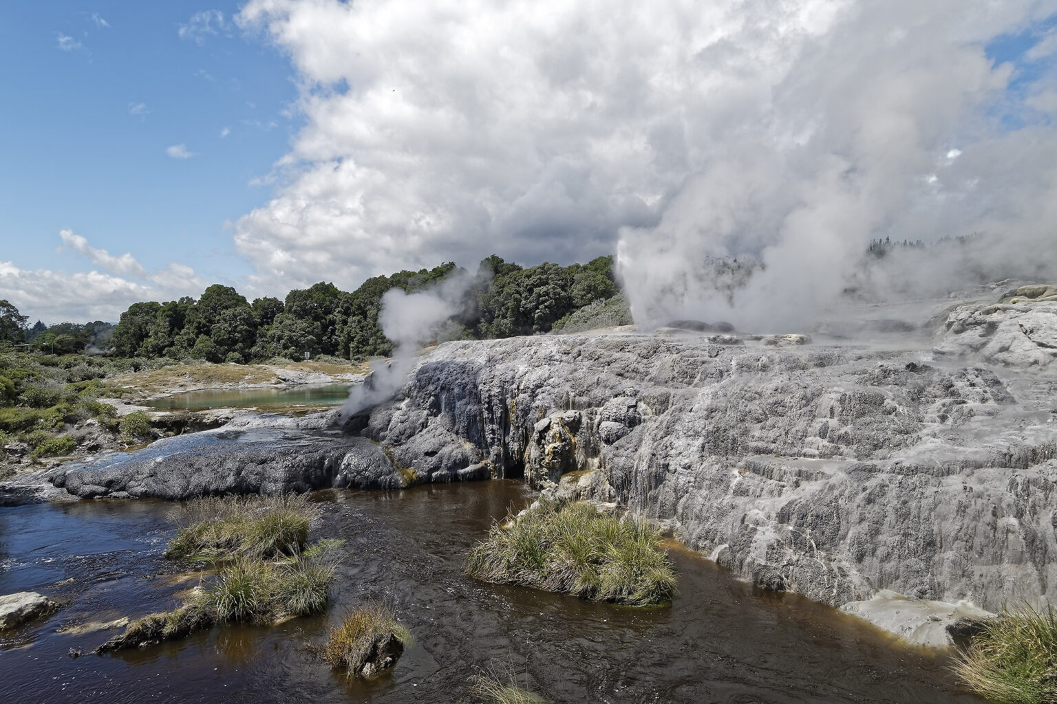 Things To Do in Rotorua | Triprat